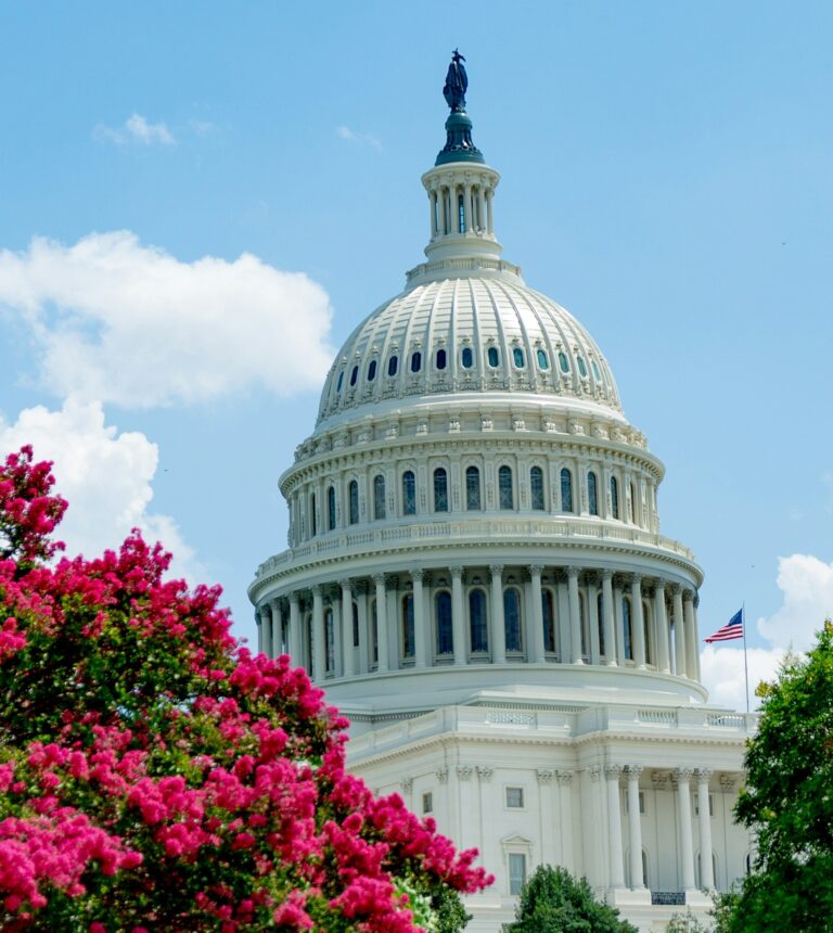 Lobbying - Federal Contracting Alliance